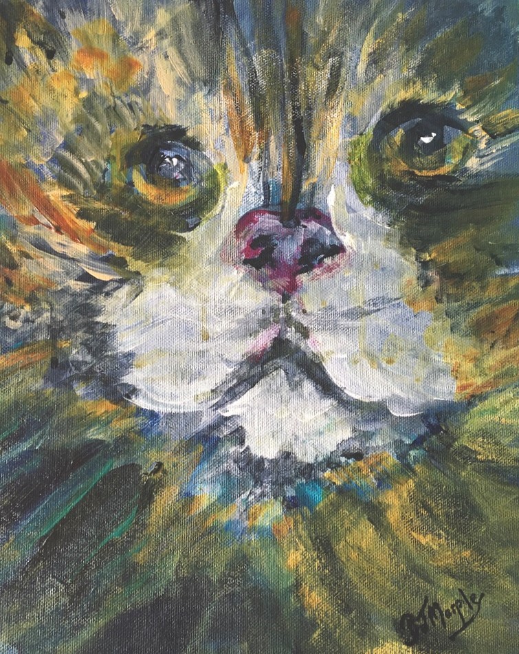 Our Artists Gallery | Shropshire Art Society