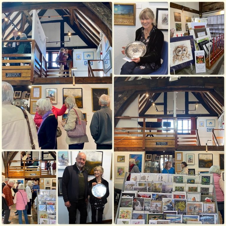 Shropshire Art Society Autumn Exhibition 2022 winner announced ...